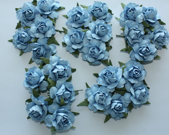 store blå roser - Epla