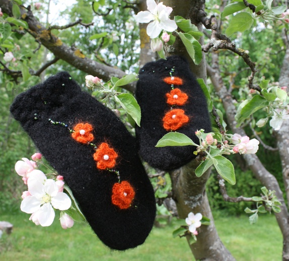 Oransje roser :-) - Epla