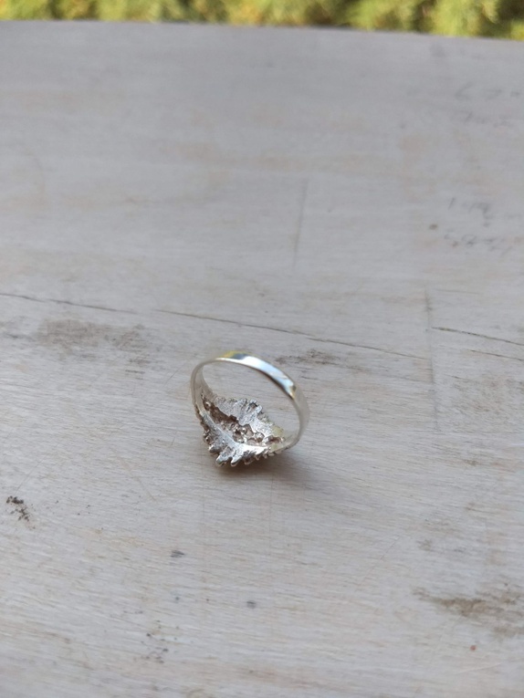 Nydelig nordisk ring - Epla