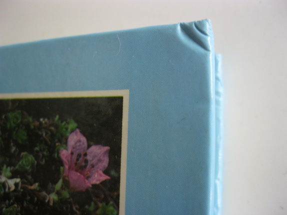 Norsk fjellflora - Epla