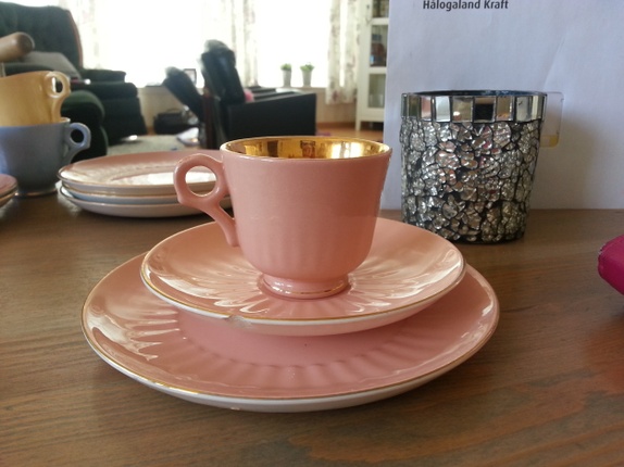 Figgjo Flint mocca - Epla