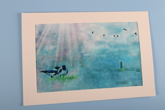 Kort - Kråker - 10 stk - Epla