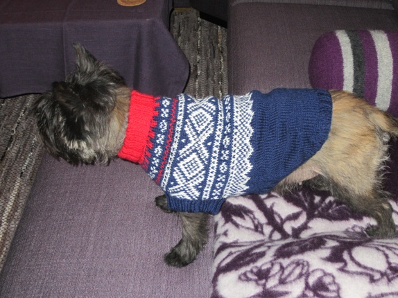 Mariusgenser til hund - Epla