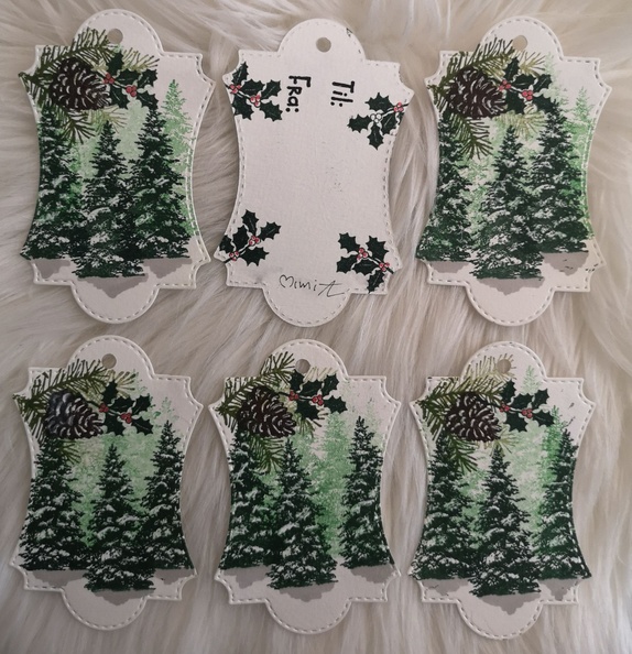 6 mellomstore Pakkelapper. - Epla