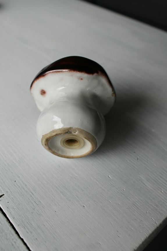 Salt eller pepper??Kjempefin sopp - Epla