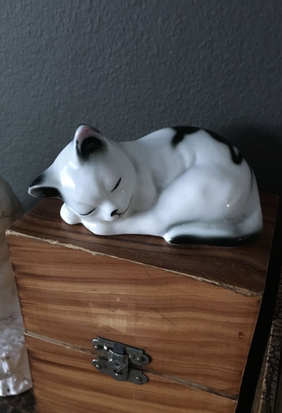 Sovende pus... - Epla