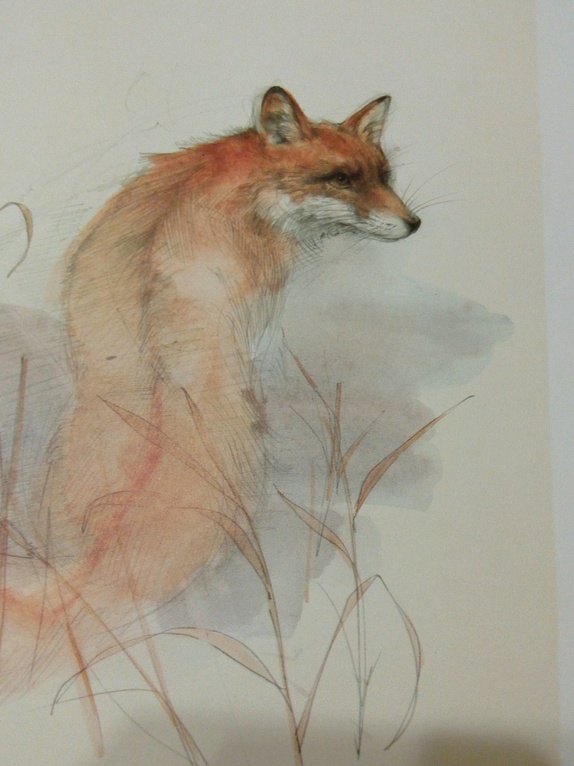 rev vintage illustrasjon - Epla