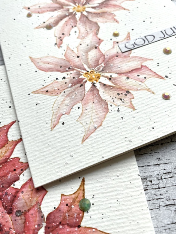 Julestjerne x2 - Epla