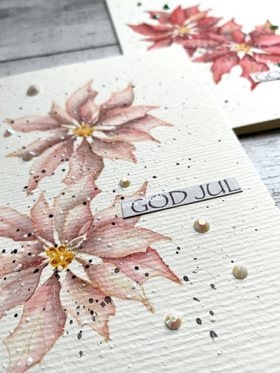 Julestjerne x2 - Epla