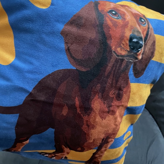 Putetrekk dachs 45x45 cm - Epla