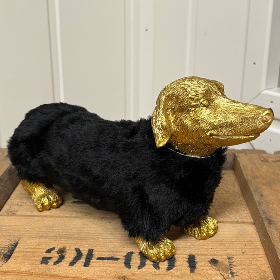 Gull-dachs med "pels" - Epla