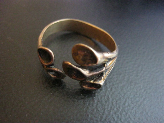 Finsk ring bronse - Epla