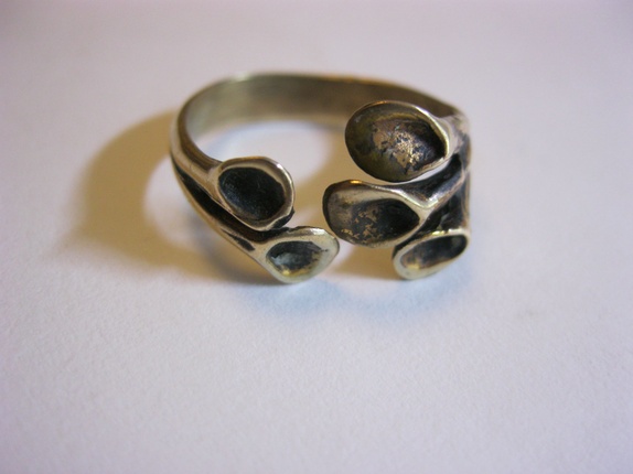 Finsk ring bronse - Epla