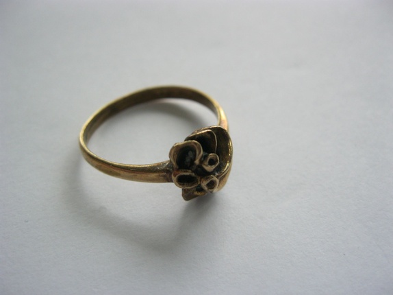 Finsk ring bronse - Epla