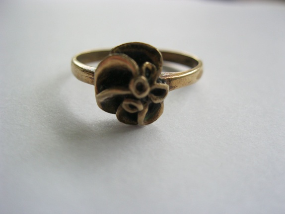 Finsk ring bronse - Epla