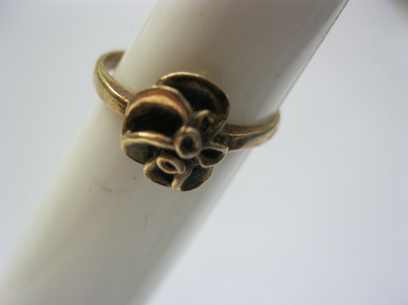 Finsk ring bronse - Epla