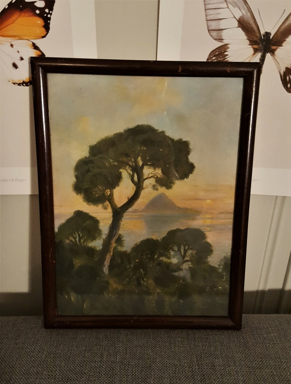 Gammelt bilde i ramme. Nydelig motiv! - Epla