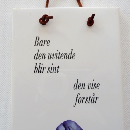 Kloke ord malt på porselen. " D. Hague " - Epla