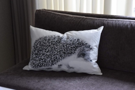 Pute pinnsvin - Epla