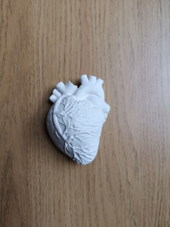 Anatomisk hjerte - Epla