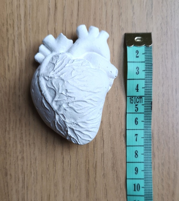 Anatomisk hjerte - Epla