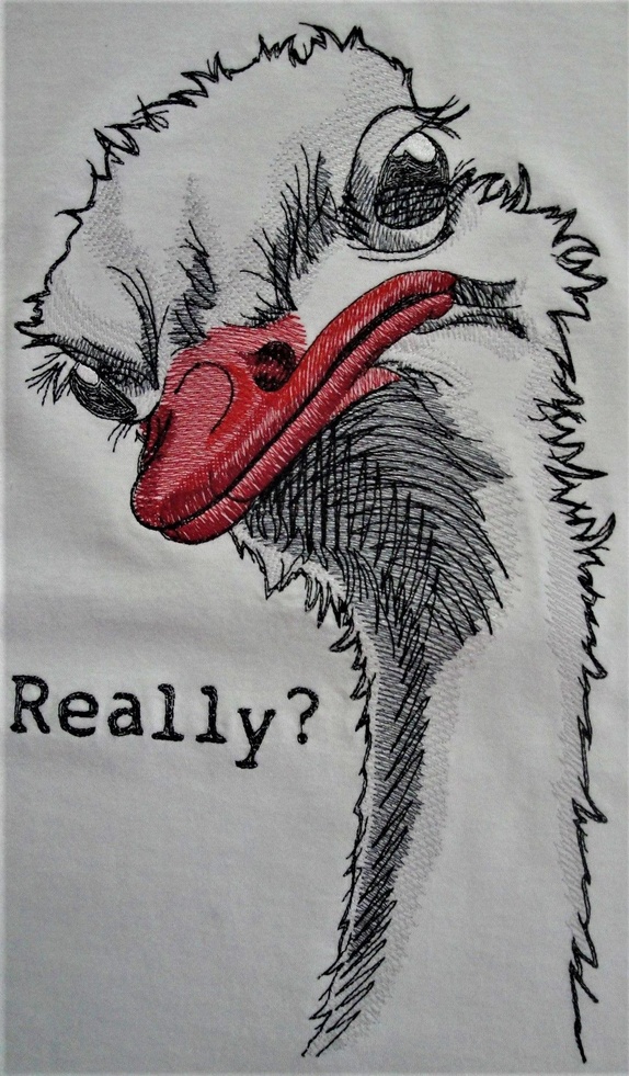 Dame/jente t-skjorte - Epla