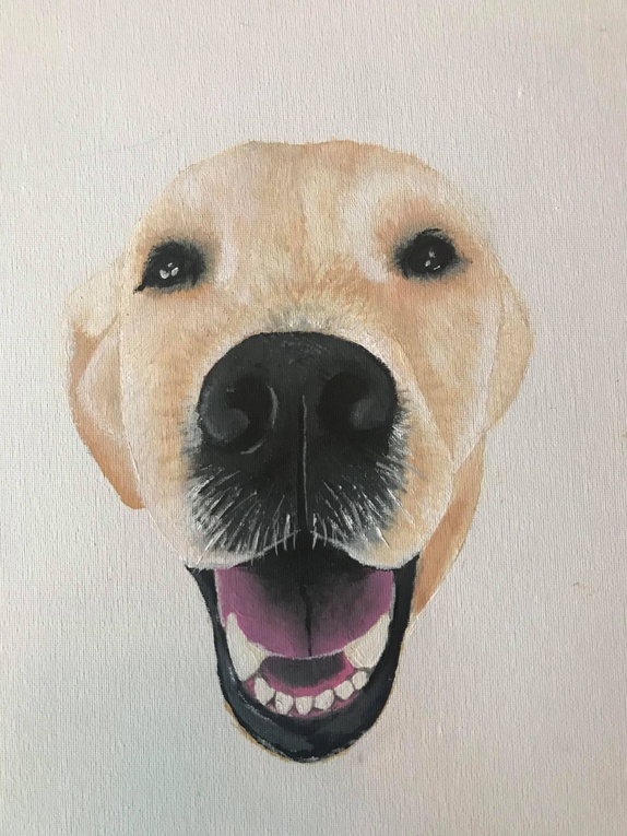 Personlig portrett av hund/katt - Epla