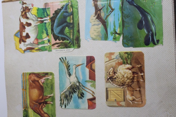 Glansbilder i Album - Epla