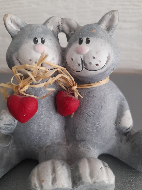 2 søte katter - Epla