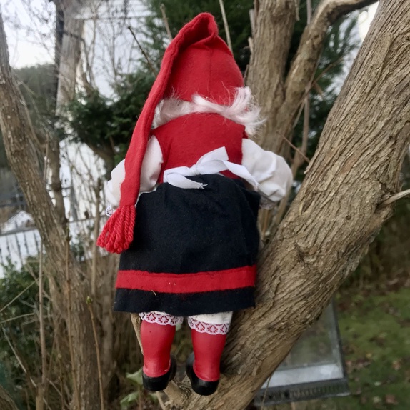 Haslenisse jente - Epla