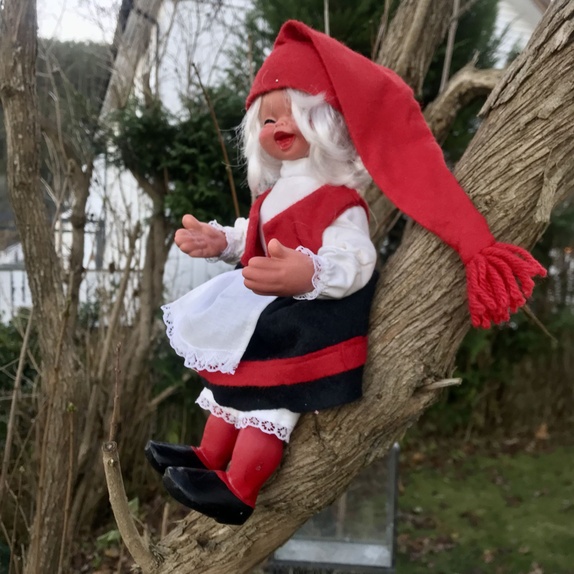 Haslenisse jente - Epla