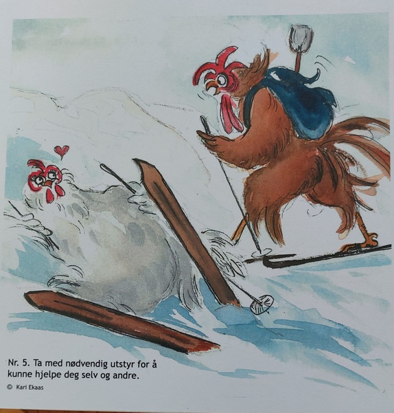 TRYKK Fjellvettreglene - Kari Ekaas høneakvareller - Epla