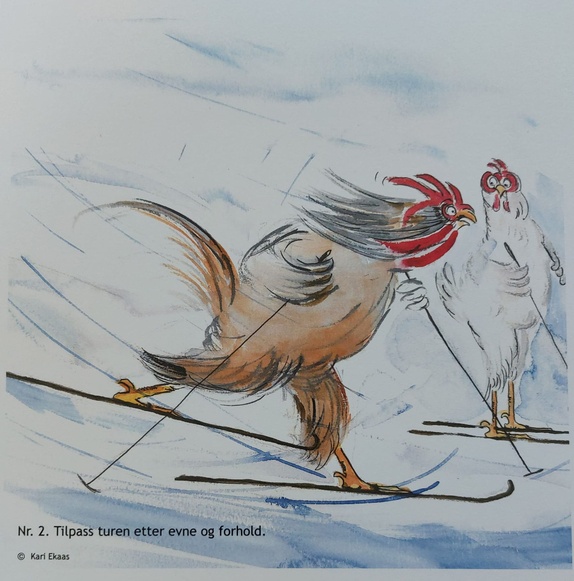 TRYKK Fjellvettreglene - Kari Ekaas høneakvareller - Epla