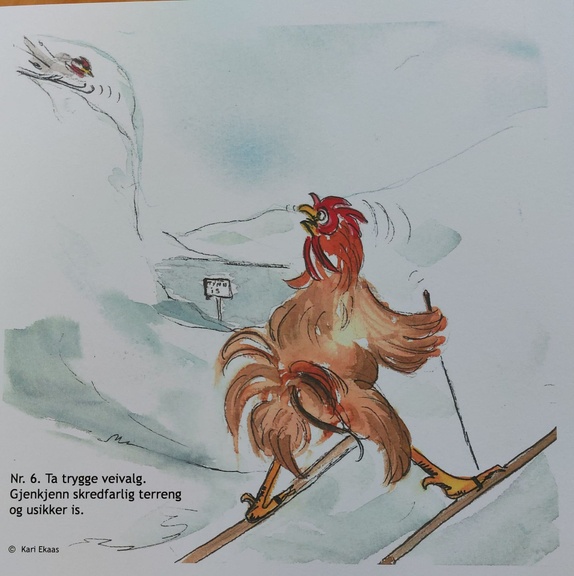 TRYKK Fjellvettreglene - Kari Ekaas høneakvareller - Epla