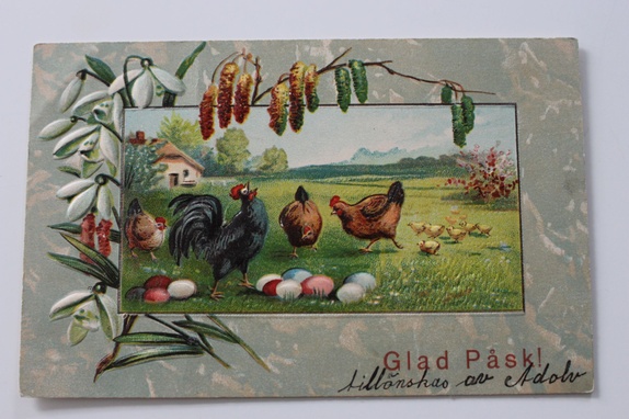 Postkort Svensk - Epla