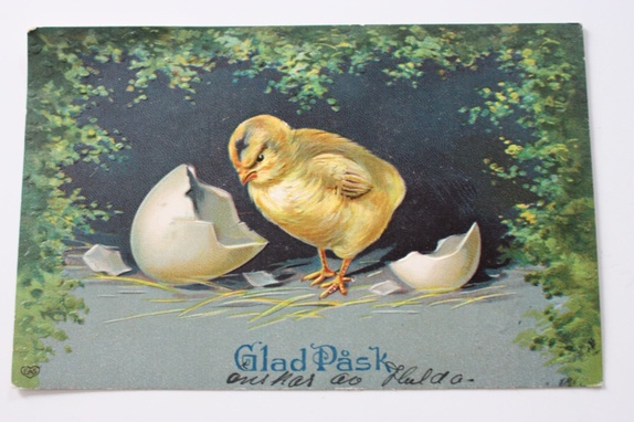 Postkort Svensk - Epla