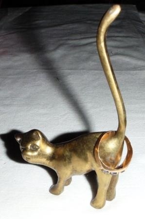 Katt til ringer - Epla