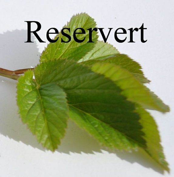 Reservert M - Epla