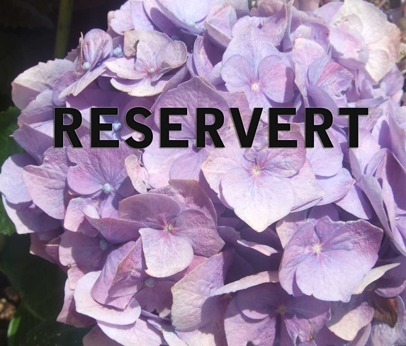 Reservert AEK - Epla