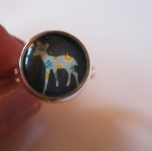 Kul ring med Kakestrø - Epla