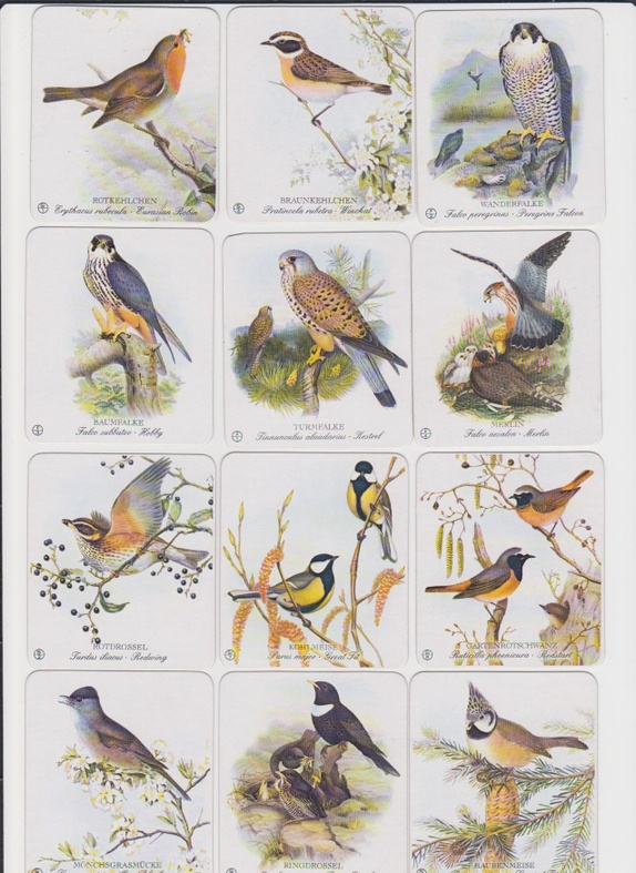 SAMLEKORT FUGLER - Epla