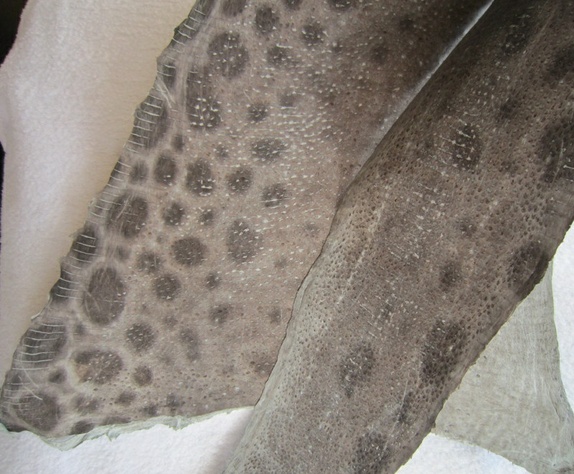 Reservert Ingeborg - Epla