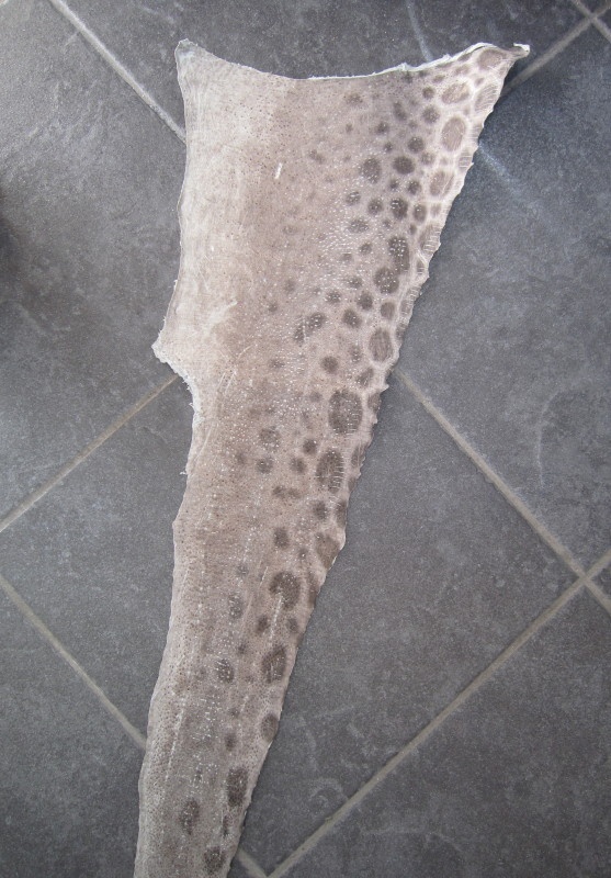 Reservert Ingeborg - Epla