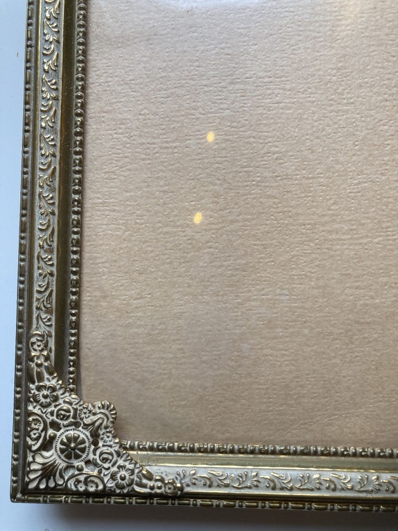 Fin gullramme - Epla