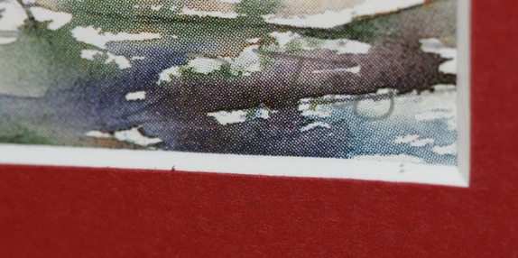 Bilde i ramme - Epla