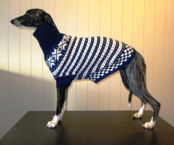 Hjemmestrikket genser til hund - Epla