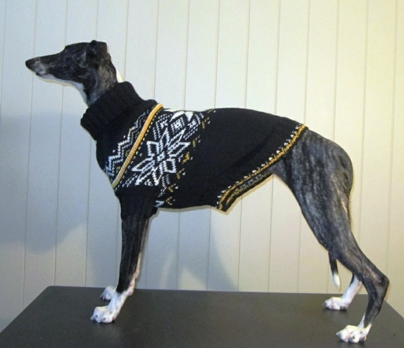 Hjemmestrikket genser til hund - Epla