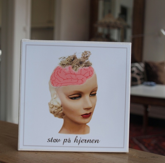 Støv på hjernen - mini lerret 15 x 15 - Epla