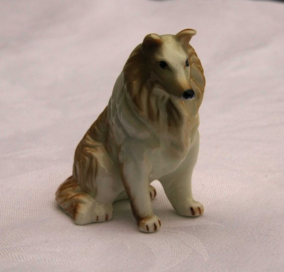 Søt Lassie-hund - Epla