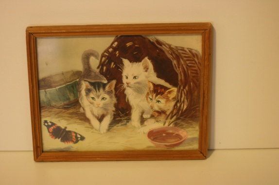 Gammelt bilde av katter - Epla